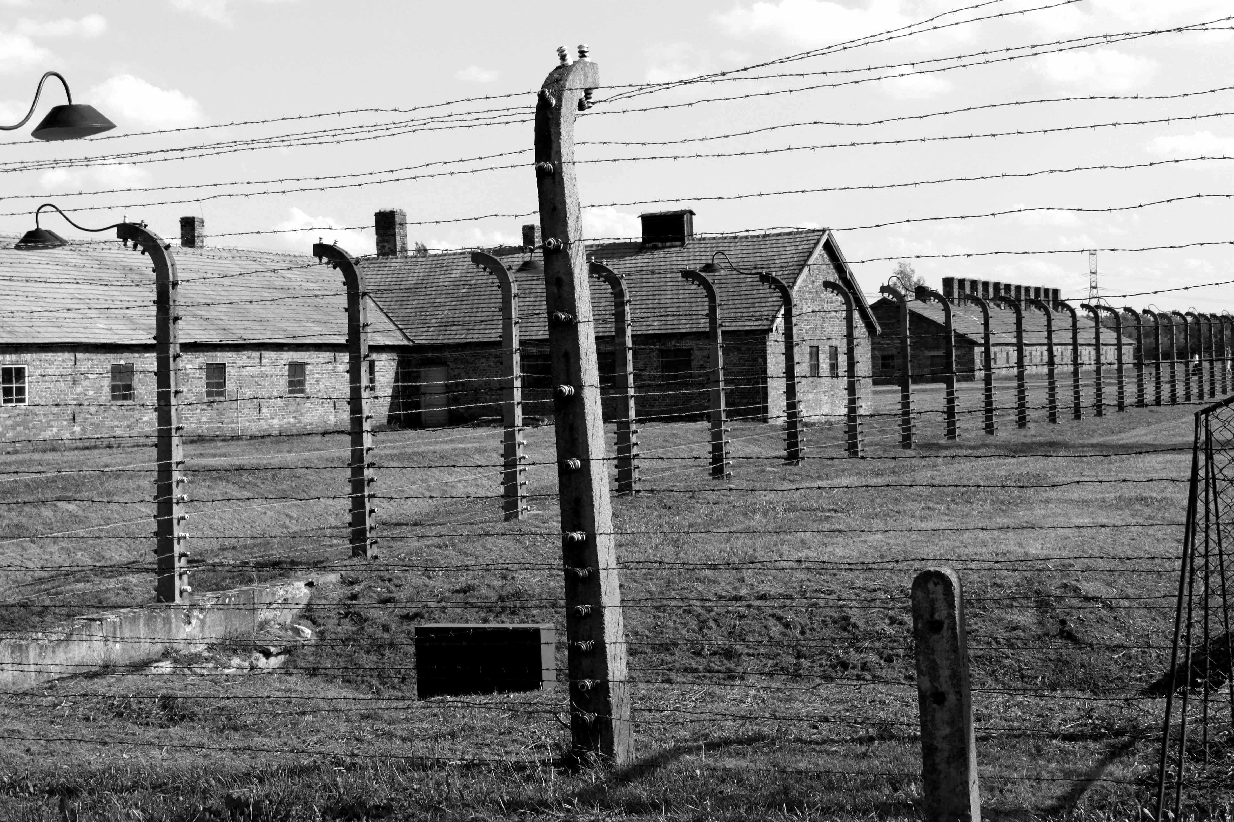 Auschwitz: el horror recorre el mundo | Distopía